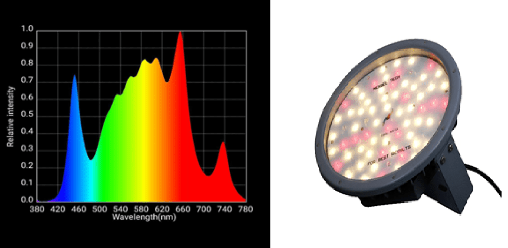 What is the Broad Spectrum? - Nexsel