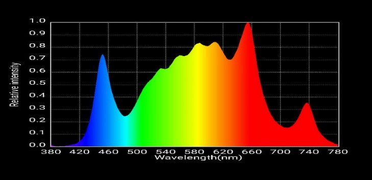 Speed Breeding - Nexsel