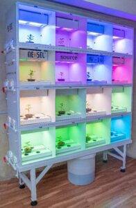 Speed Breeding - Nexsel