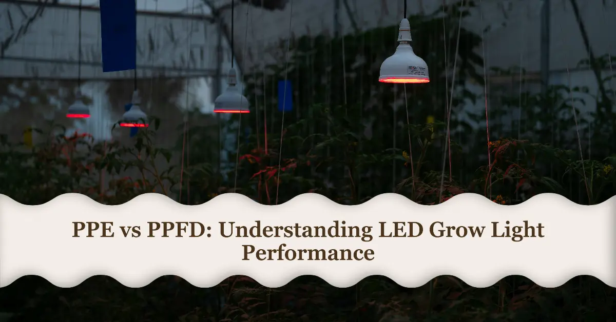 Leading LED Plant Grow Lights & Hydroponics Solution Provider in India